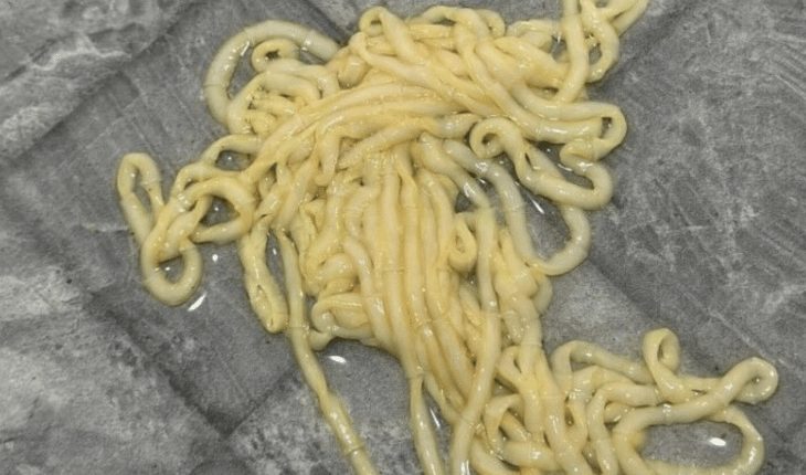 Man ontdekt 3 meter lange lintworm in badkamer na eten rauw voedsel
